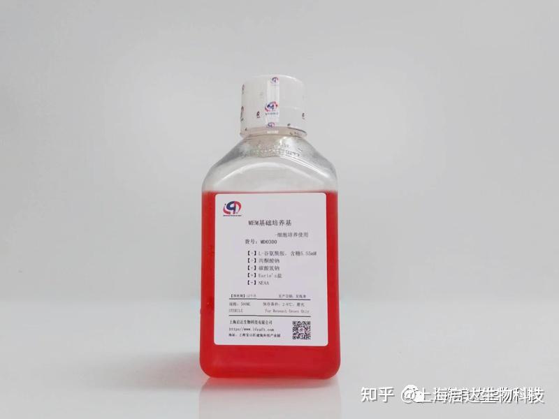 原代肿瘤细胞的提取和培养 - 知乎