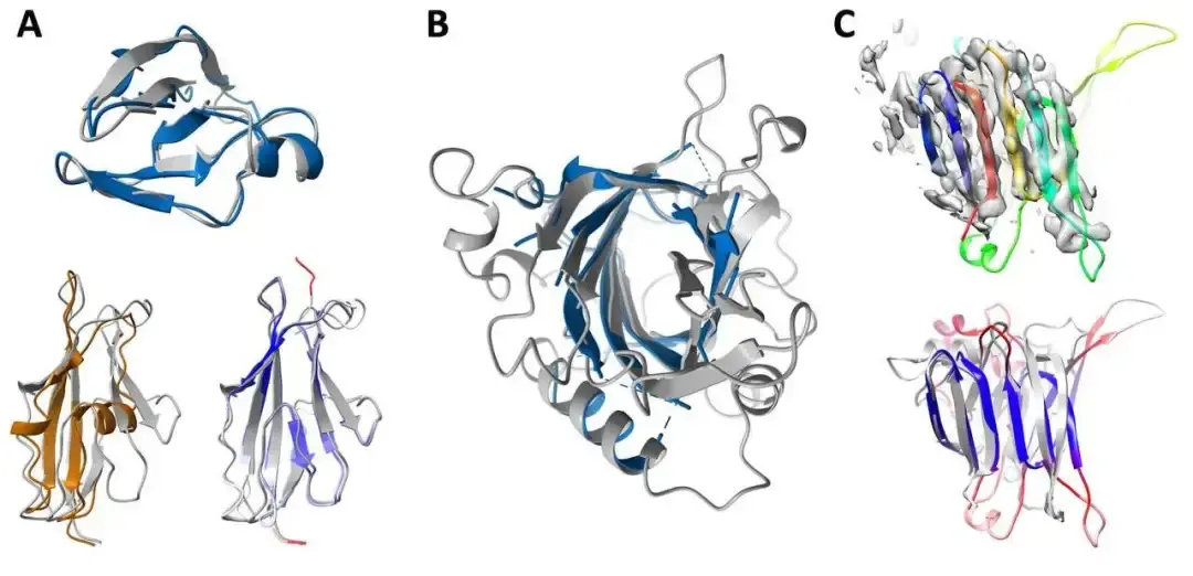 谷歌提前开源AlphaFold 2！Nature、Science同时公开两大蛋白质结构预测工具 - 知乎