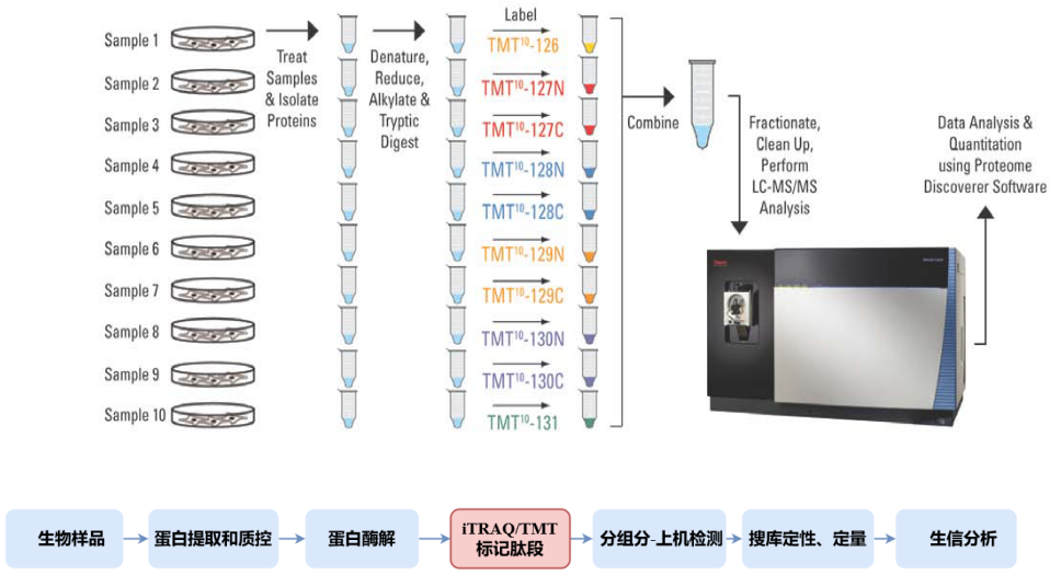技术介绍 | iTRAQ/TMT标记定量蛋白质组研究 - 知乎