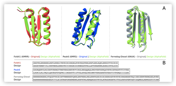 基于Alphafold2进行蛋白设计 - 知乎
