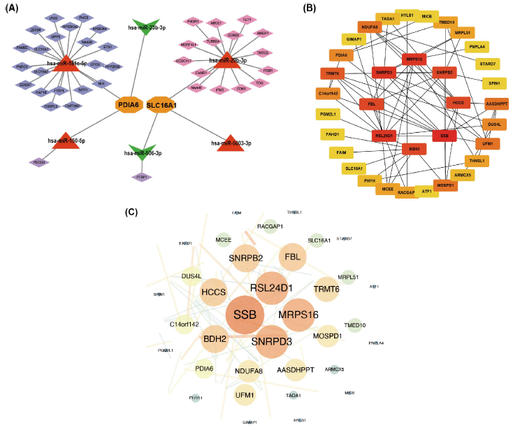 共病思路，先卷一篇再说！贵州省人民医院二区SCI：WGCNA+PPI+简单实验，快跟上！ - 知乎
