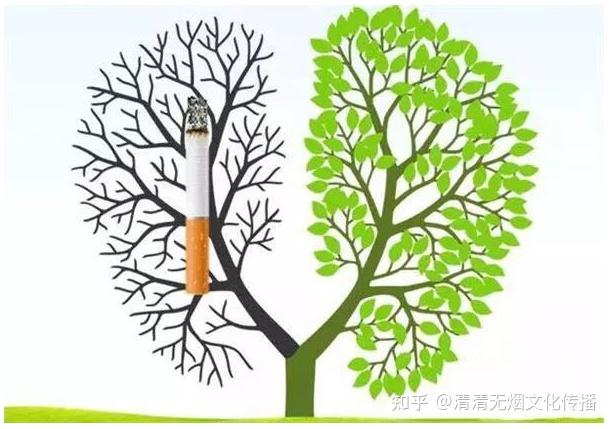 戒烟的秘诀:先戒心中烟,再灭手中烟 知乎