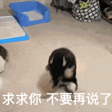 2024年6部泰国百合剧，哪一对让你欲罢不能 - 知乎