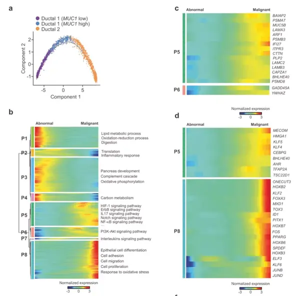 拟时序分析是什么？怎么看？如何用？ - 知乎