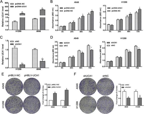LncRNA：LncRNA的前世今生以及临床思路分析 - 知乎