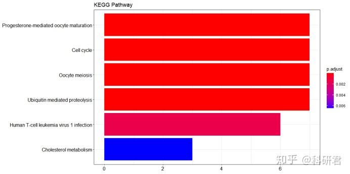 TCGA|GEO可视化分析第2篇---KEGG|GO分析大全 - 知乎