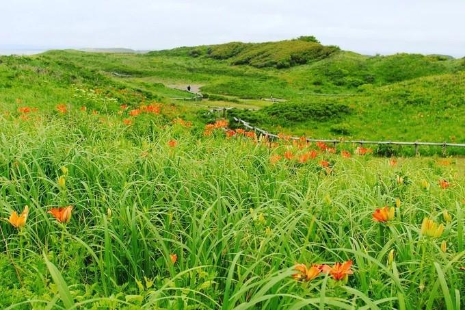 北海道道东||好多人去北海道，我去的是秘境 - 知乎