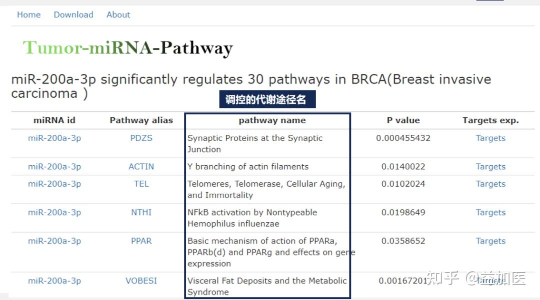 如何让miRNA研究“更精致” ？教你一键在线查询miRNA表达和甲基化水平 - 知乎