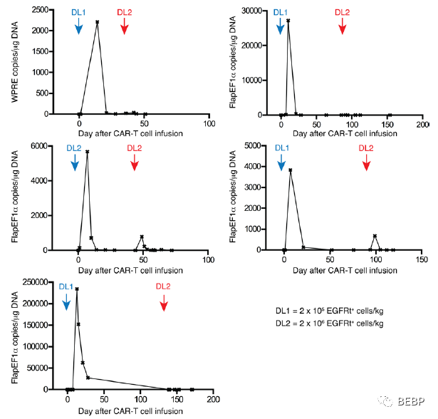 上市CART的人源化水平 - 知乎