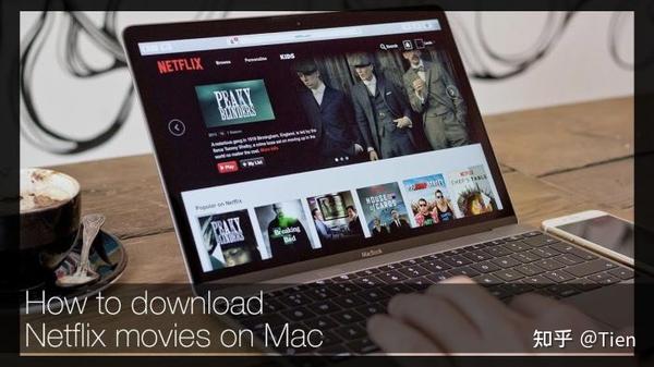 离线观看 Netflix：Y2Mate Netflix 下载器 - 知乎