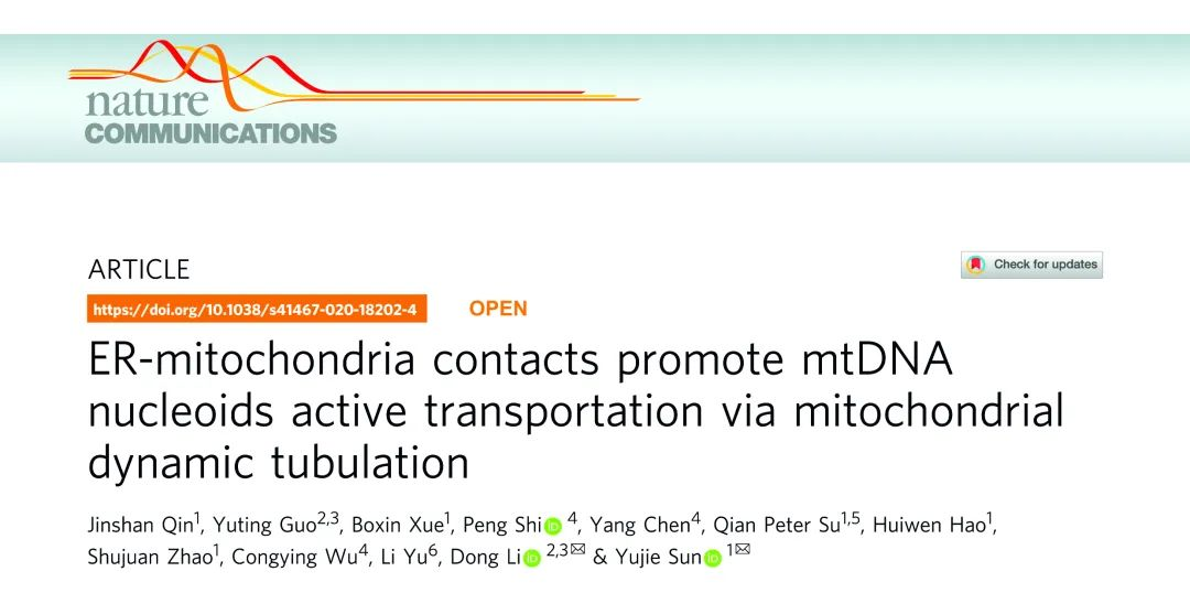 浅析 mtDNA与衰老的关系，让抗衰进程再向前一步！ - 知乎
