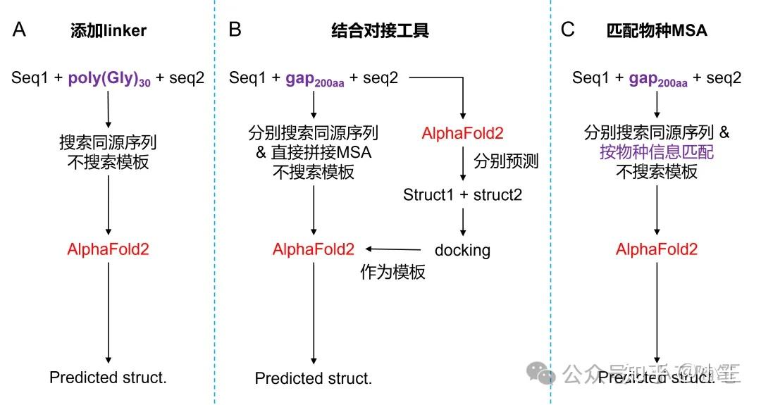 AlphaFold-multimer：势在必行的模型拓展 - 知乎