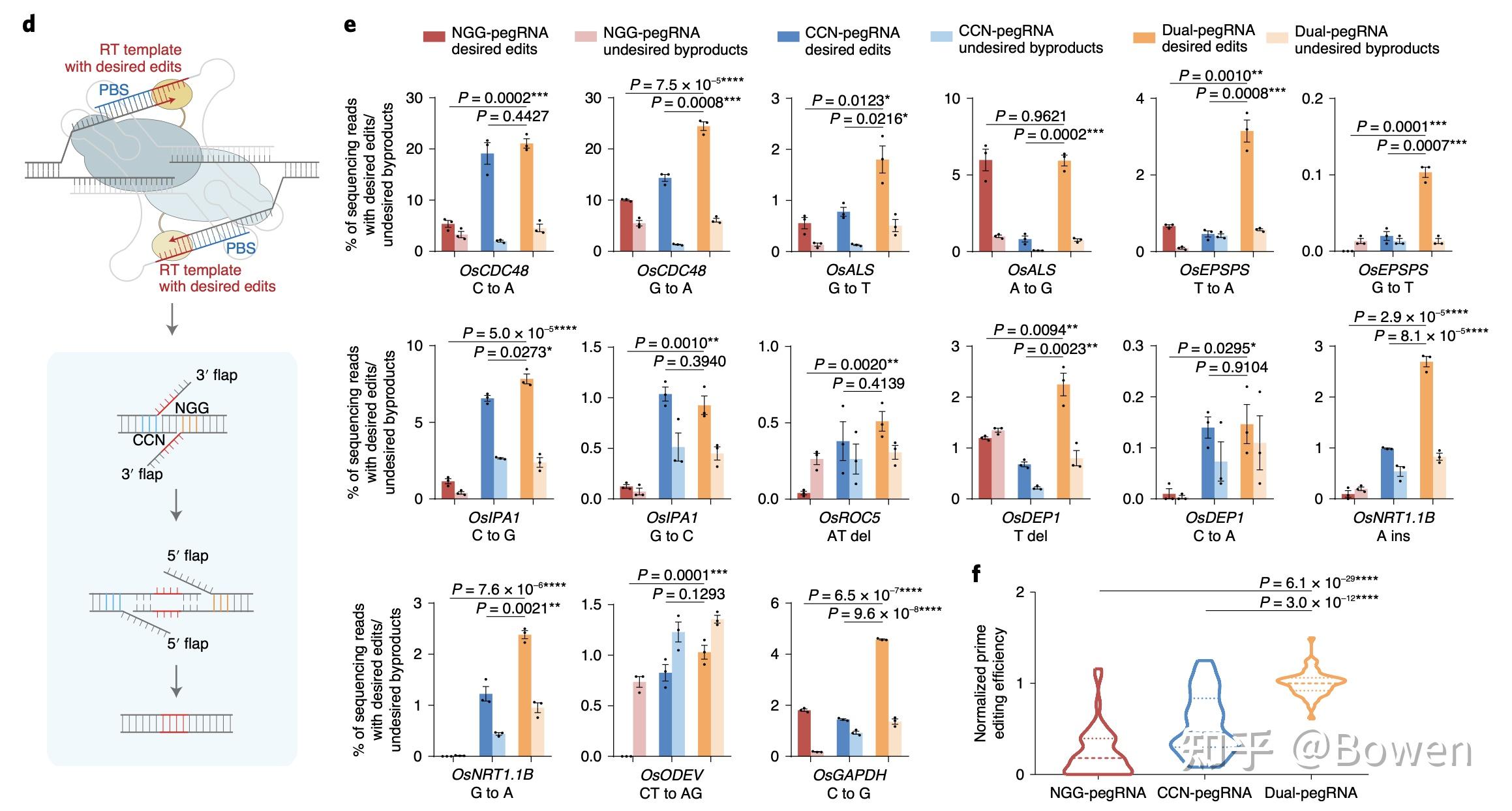 先导编辑（Prime Editing）新策略 - 知乎