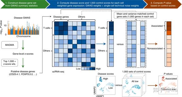 GWAS研究基本概念4——GWAS+scRNA工具列表 - 知乎