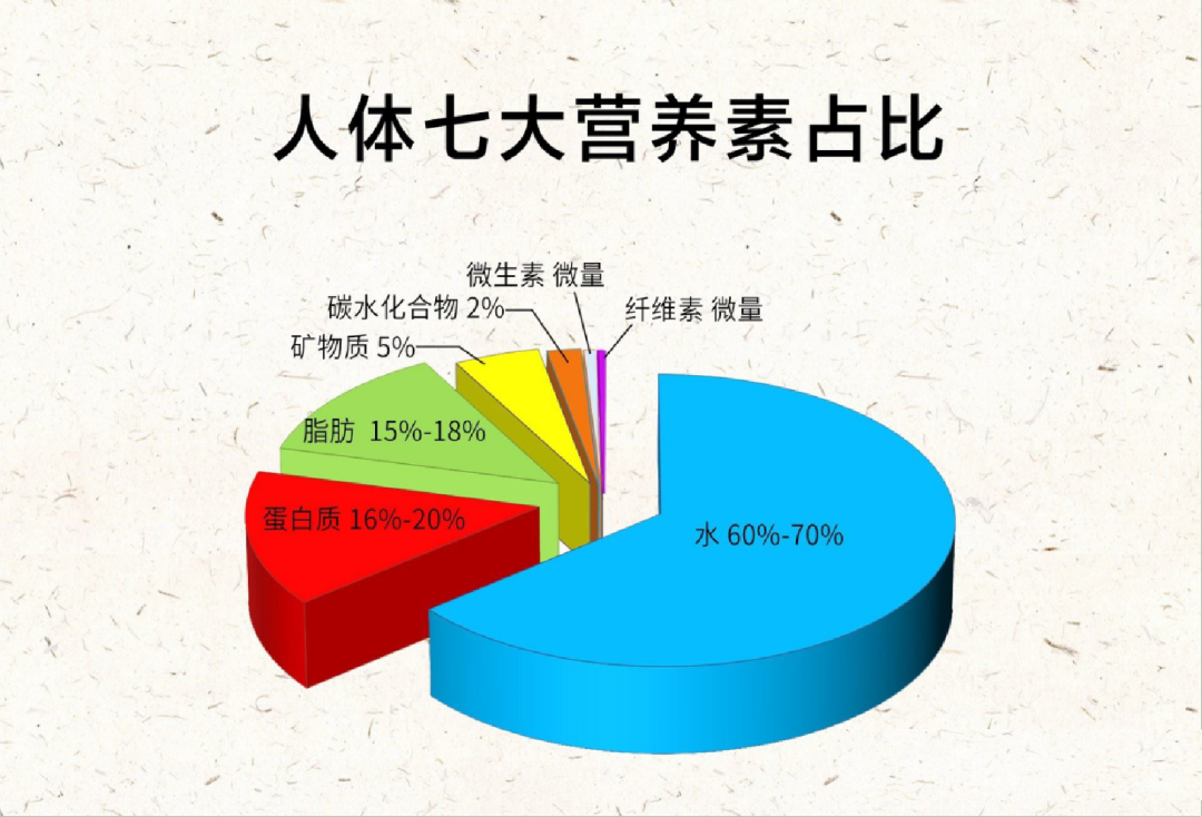 抗疫靠免疫，吃出免疫力！ 知乎
