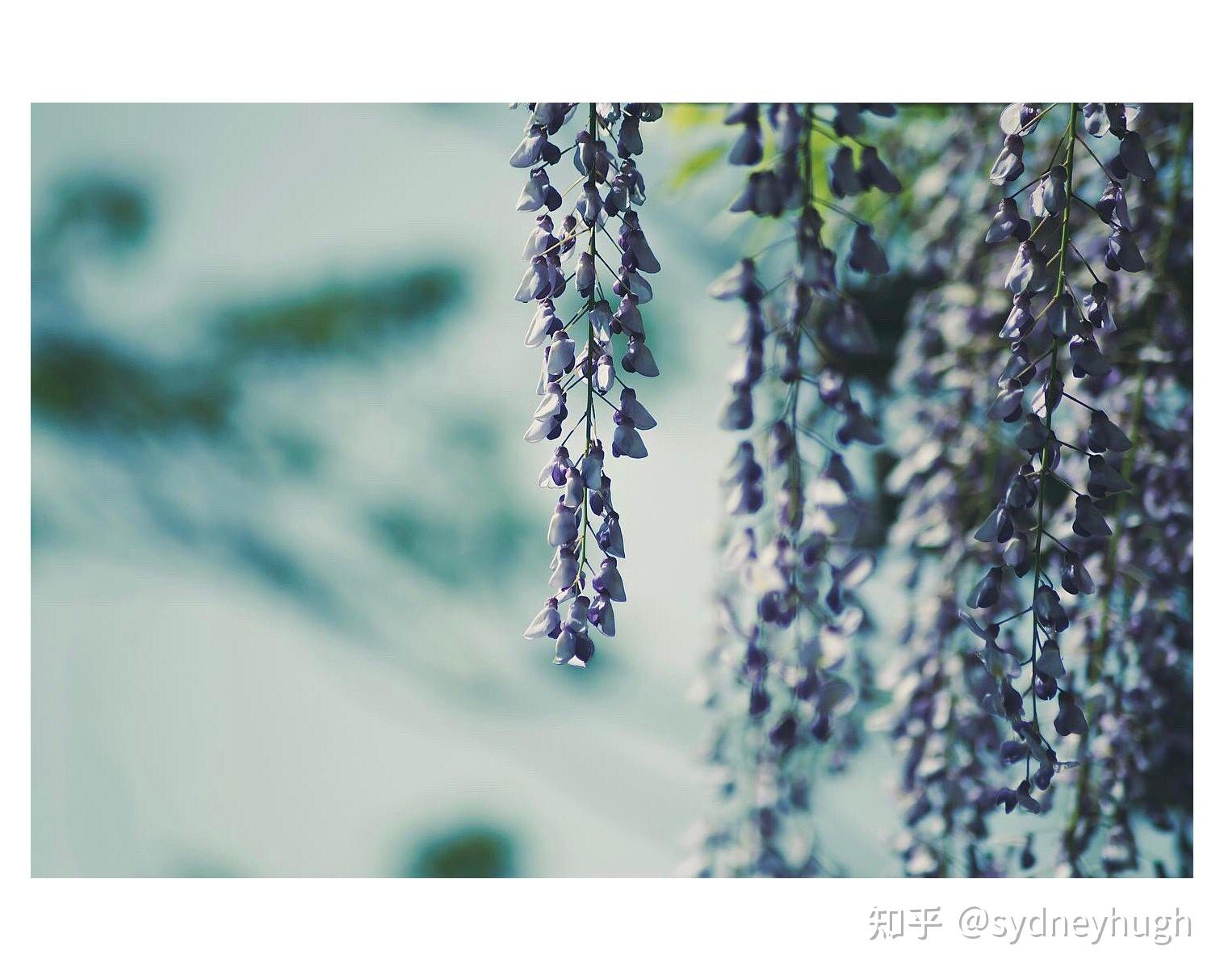 富士胶片模拟： 富士X-T3 与X100s Classic Negative 胶片模拟，从原理说起 - 知乎