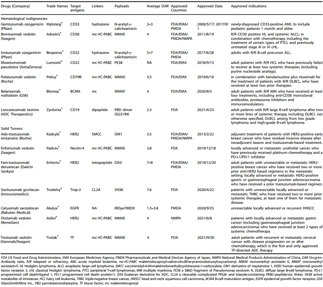 ADC抗体偶联药物简介及关键质量属性研究（一） - 知乎