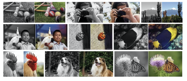 自监督学习: 人工智能的未来 - 知乎