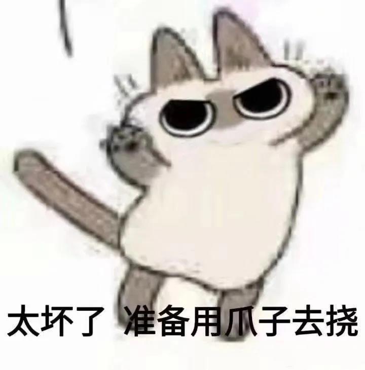 暹罗猫小豆泥表情包整理（侵删） 知乎
