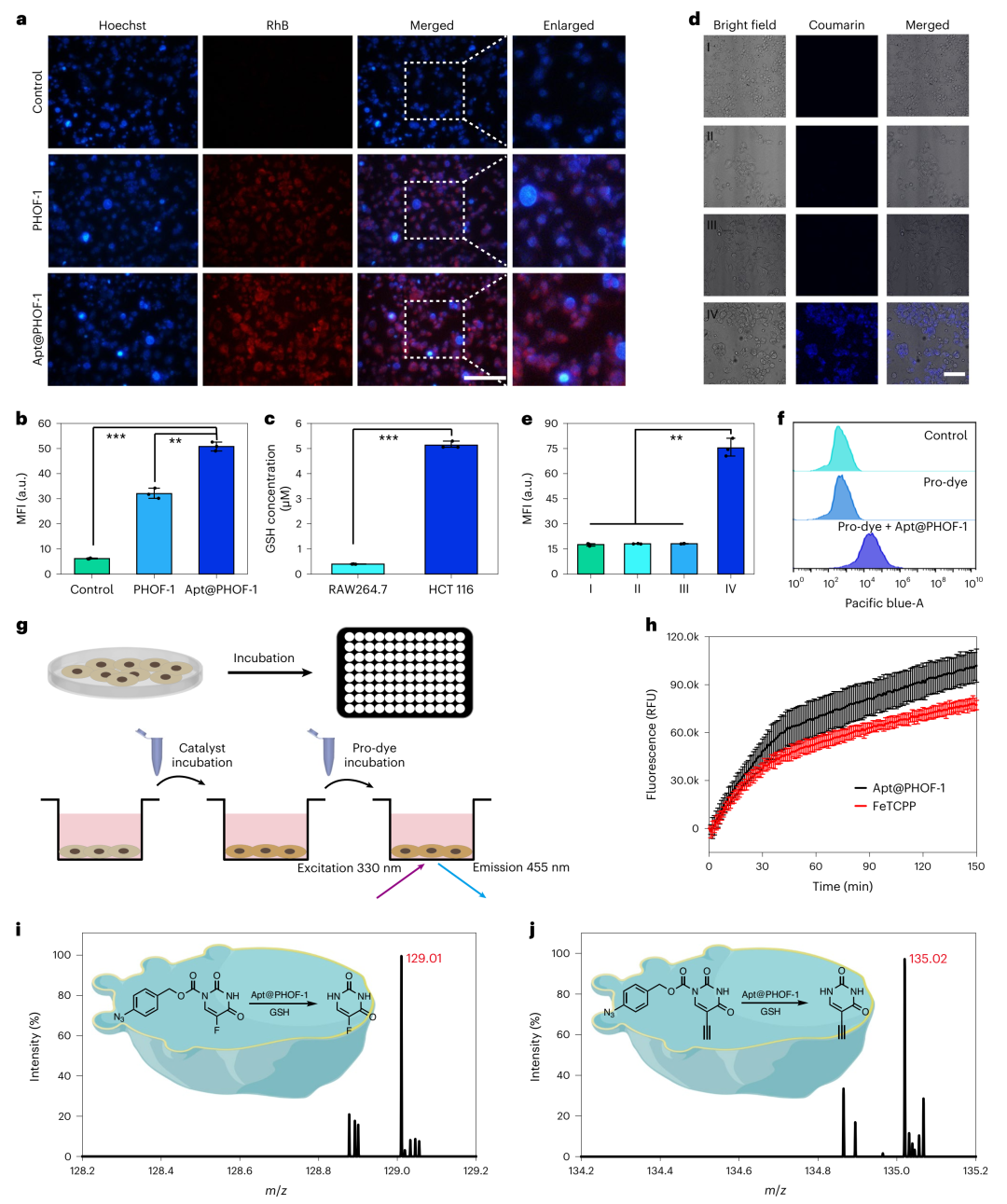 生物正交化学新突破！曲晓刚团队最新Nature Catalysis - 知乎