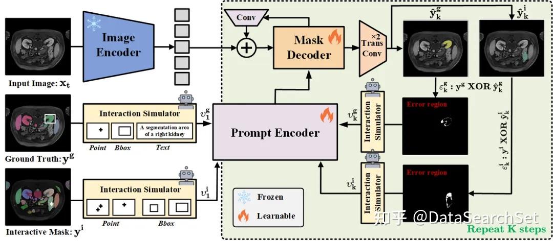 IMed-361M - 开创性交互式医学图像分割基准数据集 - 知乎
