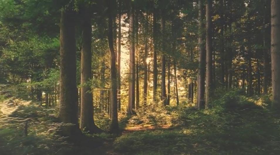 中国电信 TeleStudio 全链路AI视频创作平台正式上线 - 知乎