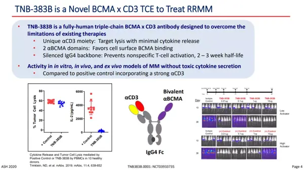 艾伯维决定收购TeneoOne获得BCMA/CD3双抗TNB-383B - 知乎