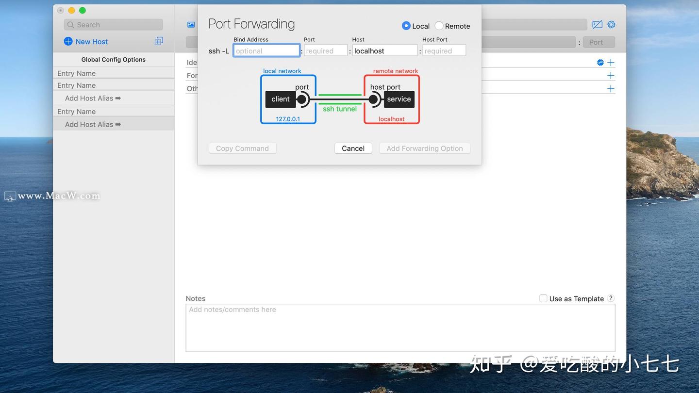 SSH Config Editor Pro for Mac(SSH配置文件管理器) - 知乎