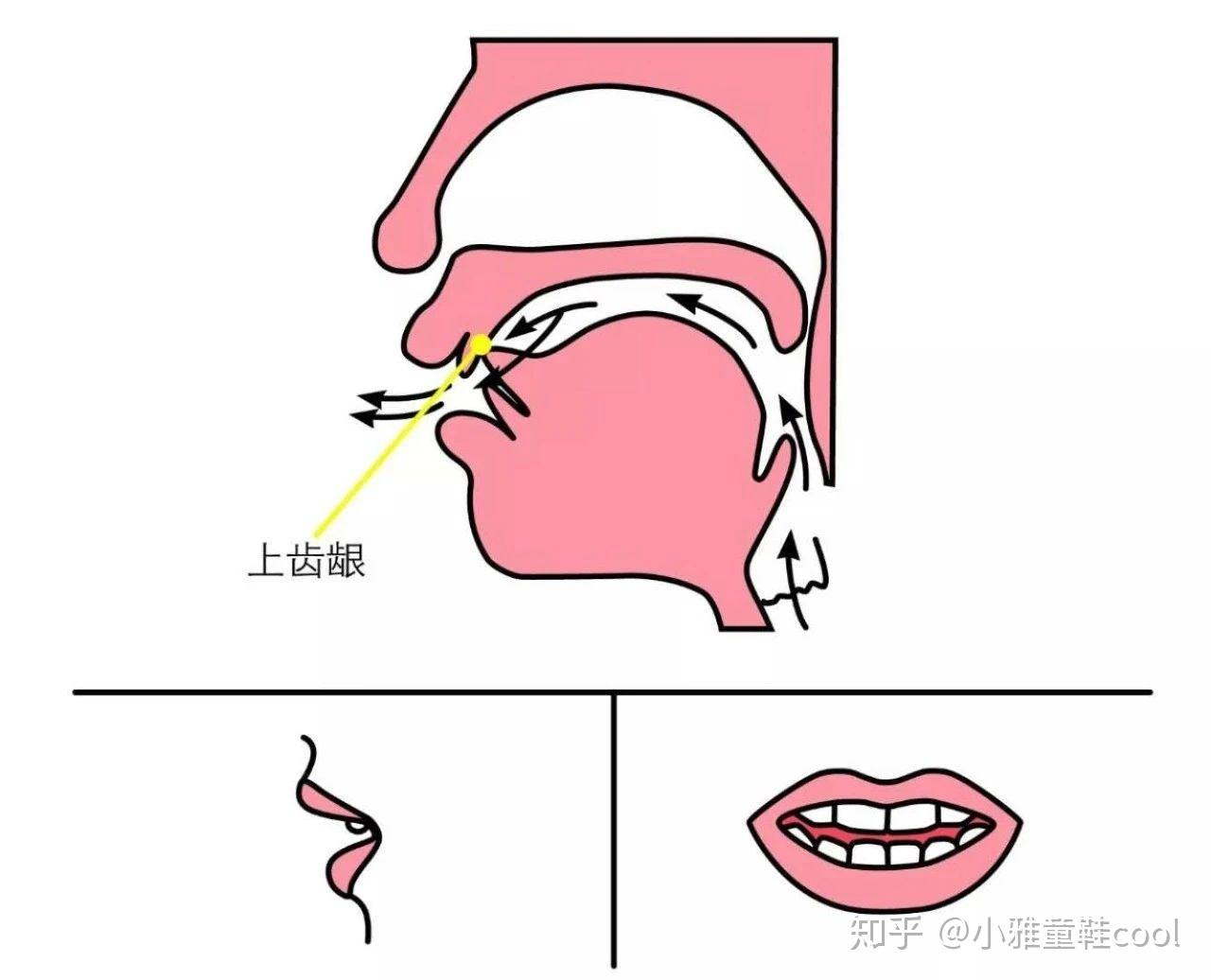 普通话n/l不分该怎么办？ - 知乎