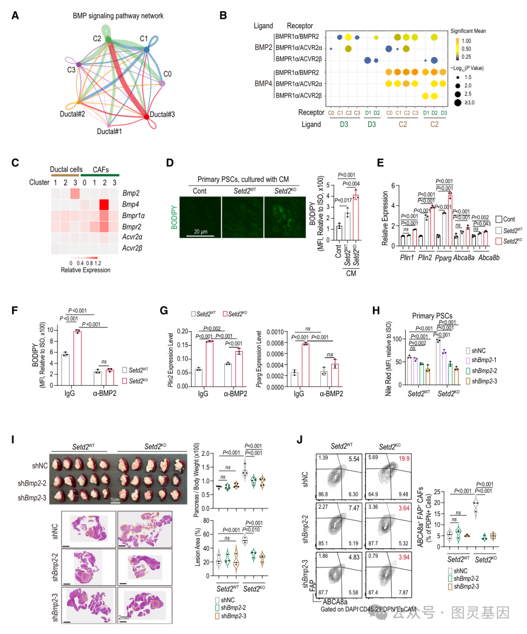 Cancer Cell | 上海交大团队发现表观遗传导致CAFs异质性促进胰腺癌 - 知乎