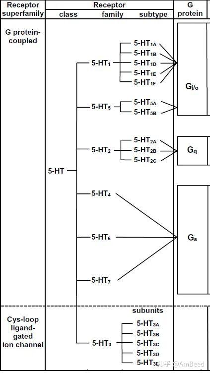 【AmBeed解读】深入解析5-HT受体 - 知乎