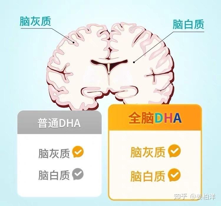 inne产品|inne全脑DHA中神经酸安不安全？看懂成分才能不踩雷！揭秘inne全脑DHA - 知乎
