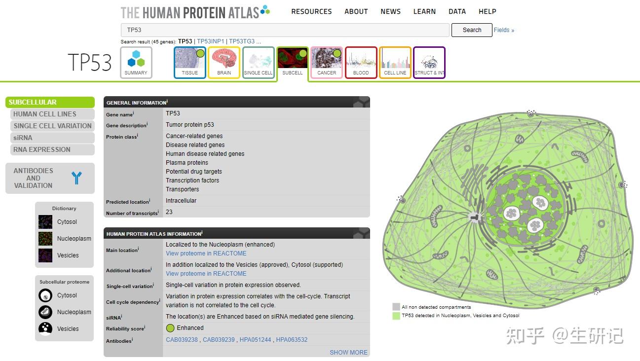 这个宝藏数据库教你一键解锁人类蛋白质全景图！The Human Protein Atlas 保姆级使用指南 - 知乎