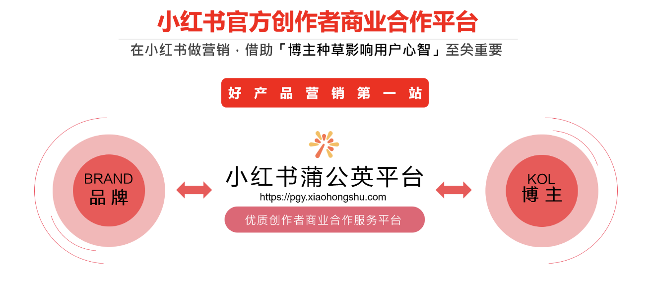 小红书蒲公英平台介绍，蒲公英能为品牌带来什么 知乎