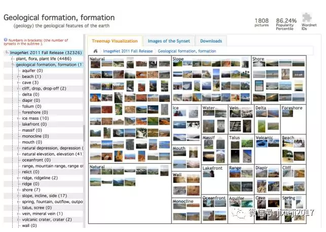 李飞飞：ImageNet证明深度学习需要海量数据支持 - 知乎
