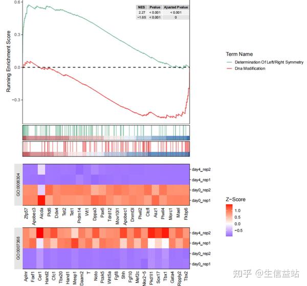 高分文章呼唤高颜值的GSEA可视化方式 - 知乎