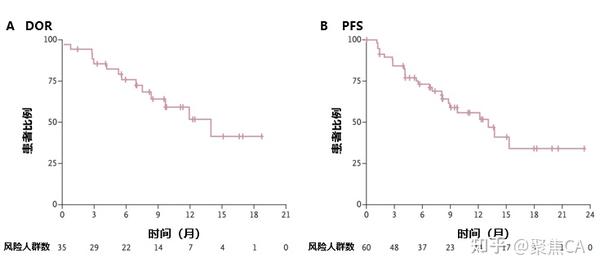 最难突破靶点新进展！NEJM：Divarasib（GDC-6036）有望成为KRAS G12C突变实体肿瘤患者新的临床候选药物 - 知乎