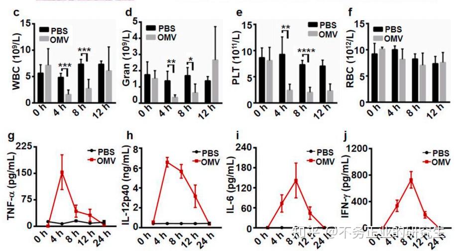 细菌外膜囊泡（OMV）体内生物安全性实验（三） - 知乎