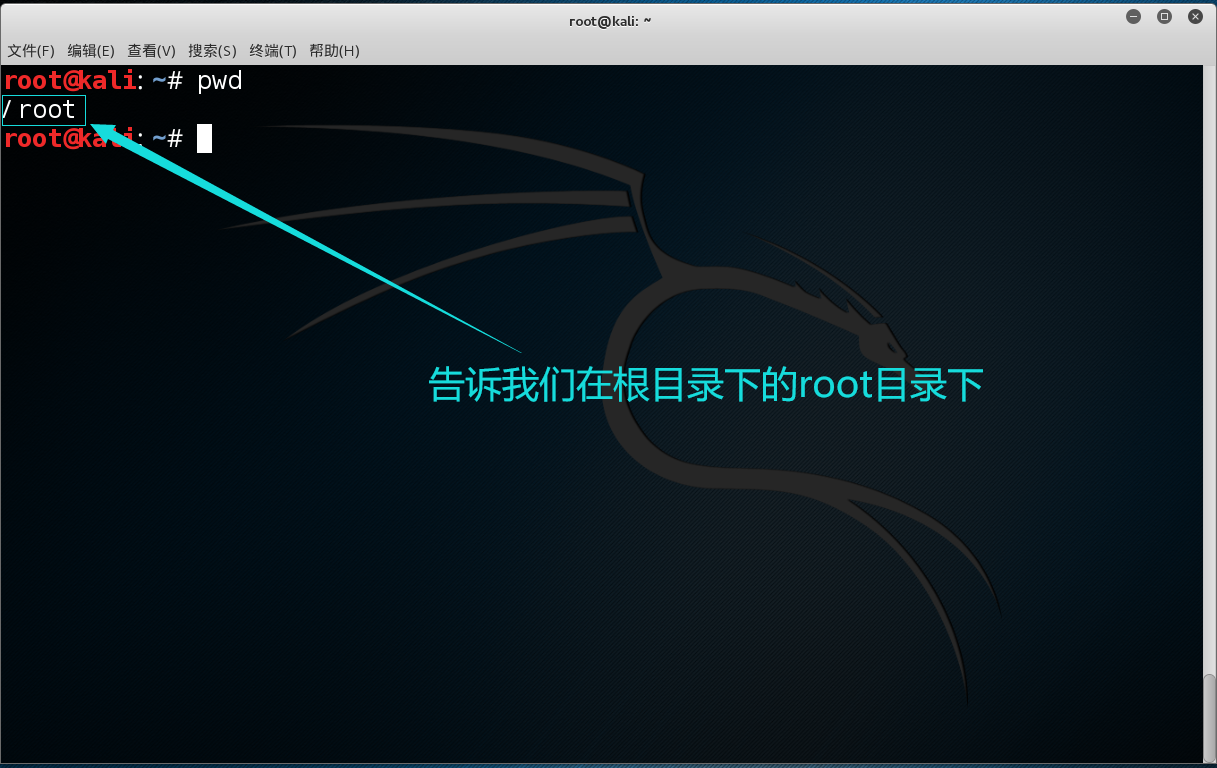 Linux（Kali）命令学习方法详解及部分常用命令（含记忆技巧）——怎么在linux中横着走？ - 知乎