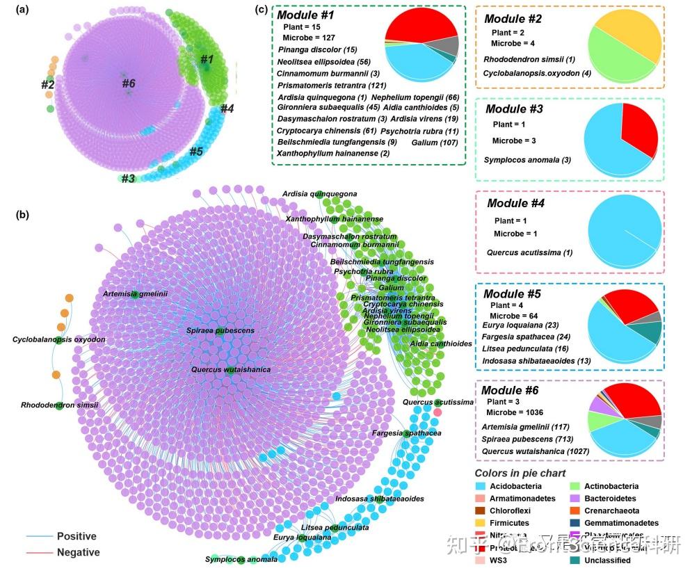 常见的共生网络（Network analysis）类型和构建的几种方法 - 知乎