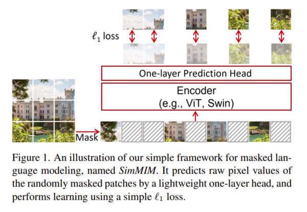 MIM（Masked Image Modeling） - 知乎