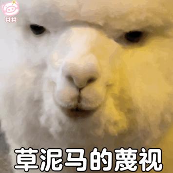 草泥马专属表情包 - 知乎