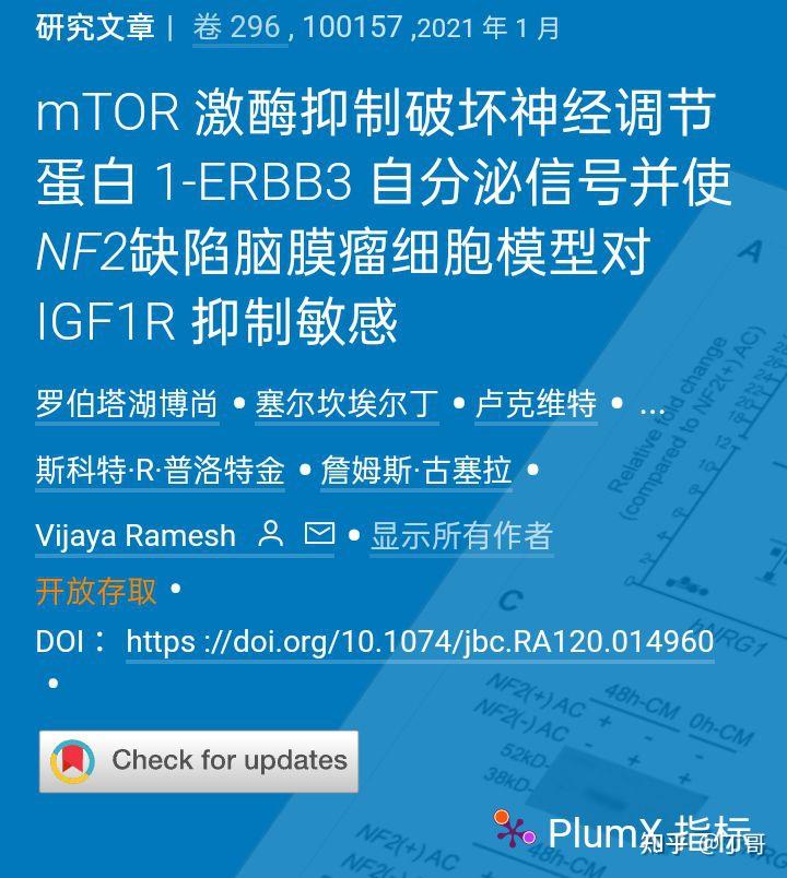 mTOR 激酶抑制破坏神经调节蛋白 1-ERBB3 自分泌信号并使NF2缺陷脑膜瘤细胞模型对 IGF1R 抑制敏感 - 知乎