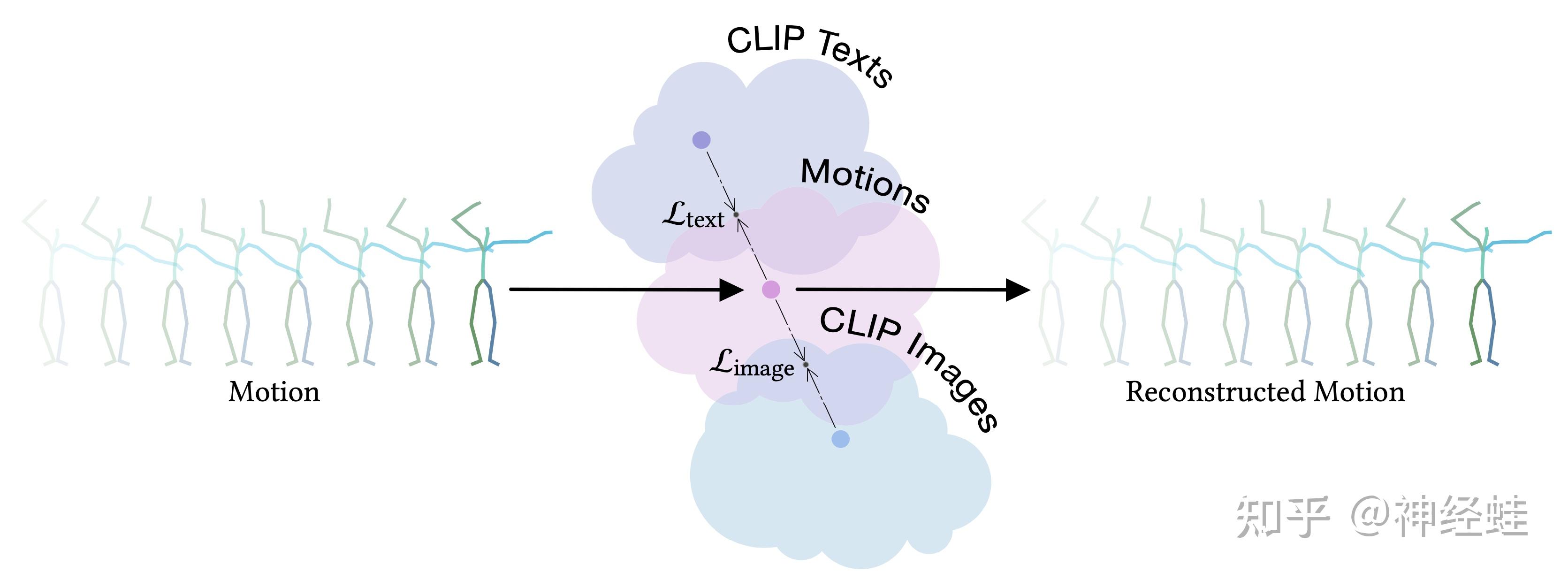 MotionCLIP: Exposing Human Motion Generation to CLIP Space - 知乎