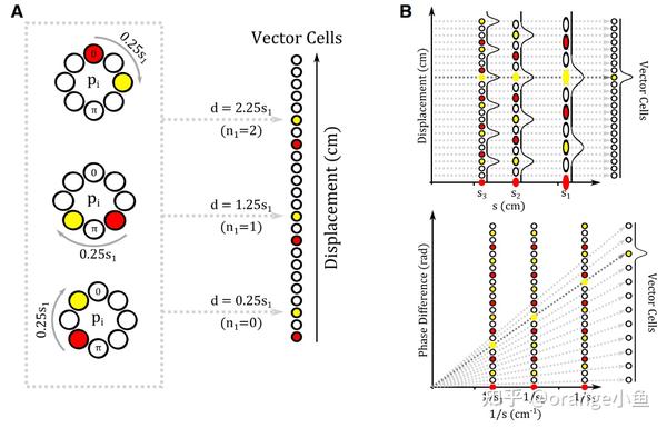 Using Grid Cells for Navigation - 知乎