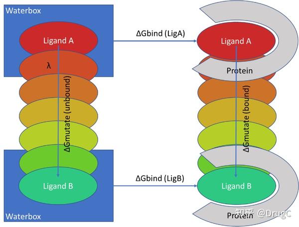 自由能微扰（free energy perturbation, FEP）的构建 - 知乎