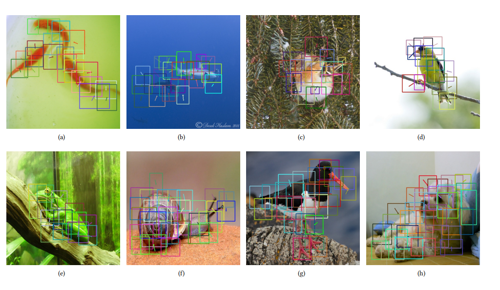 还在用ViT的16x16 Patch分割方法吗？中科院自动化所提出Deformable Patch-based方法，涨点显著！ - 知乎