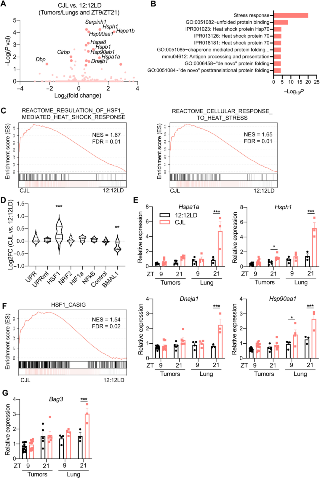 Sci Adv | 昼夜节律紊乱增强Kras驱动的肺癌中HSF1信号和肿瘤发生 - 知乎