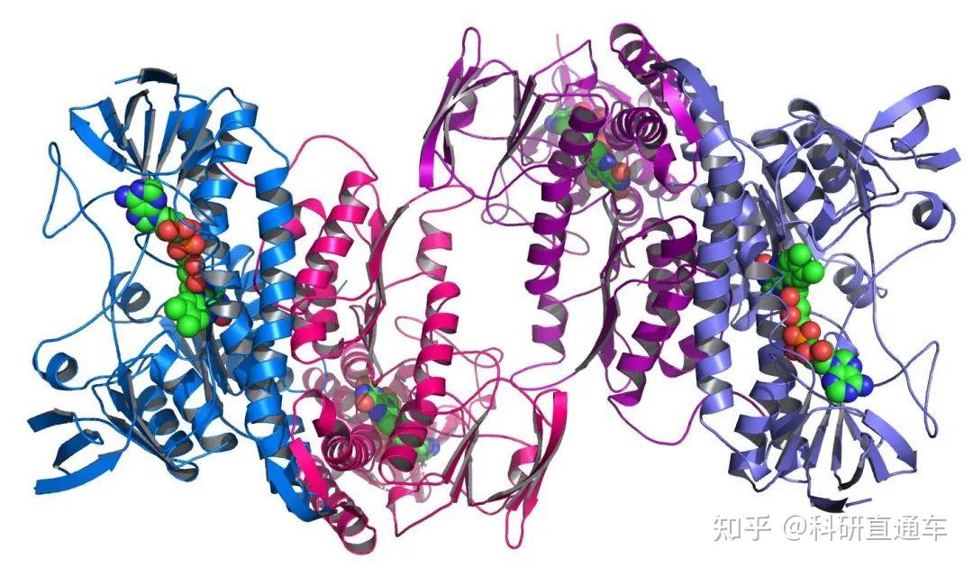 研究前沿｜逆转耐药 提高化疗敏感性！Adv. Mater：可转化的ECM剥夺系统有效抑制肾细胞癌 - 知乎