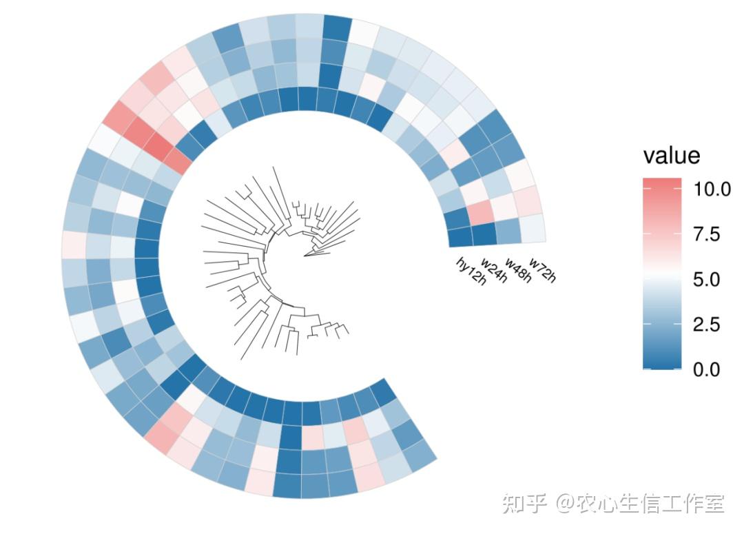 画最美的进化树：ggtreeExtra包进阶使用实例 - 知乎